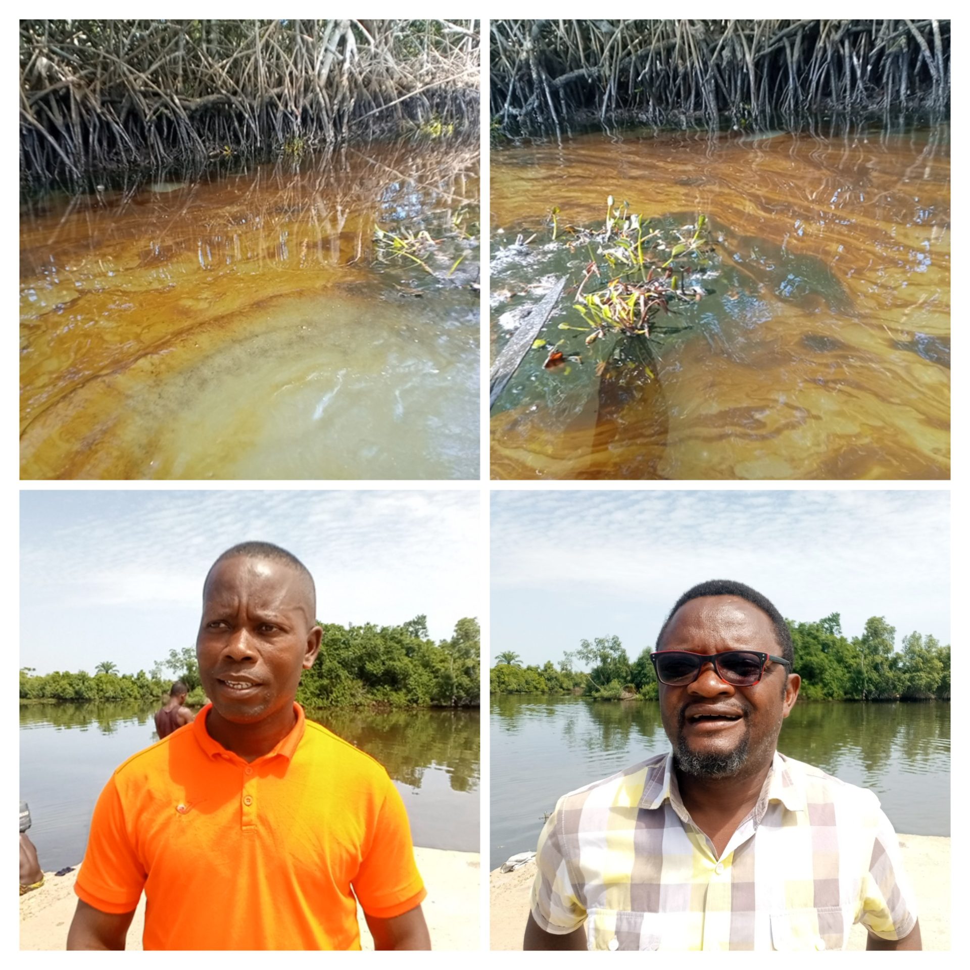 Spill From HEOSL Crude Trunk Line, Destroys Aquatic Lives, causes ...